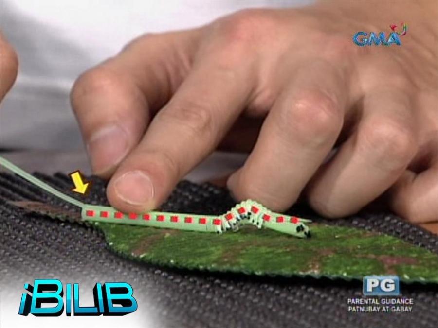 iBilib: Easy-to-make toy caterpillars | GMA Entertainment