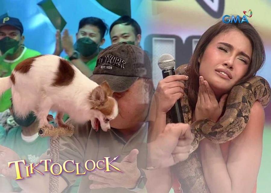 Tiktoclock: Amazing pets ng mga 'Tiktropa,' magpapasikat sa 'PETmalu!' | GMA Entertainment