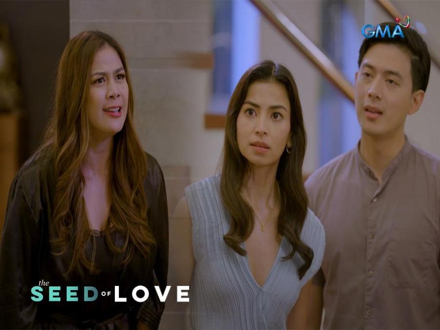 The Seed of Love: The bitter mistress' false accusations against Eileen (Episode 29) | GMA ...