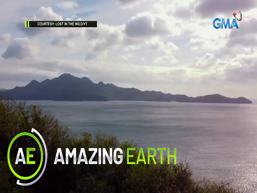 Amazing Earth: Fort Frank, the legendary island of wars and mystery ...