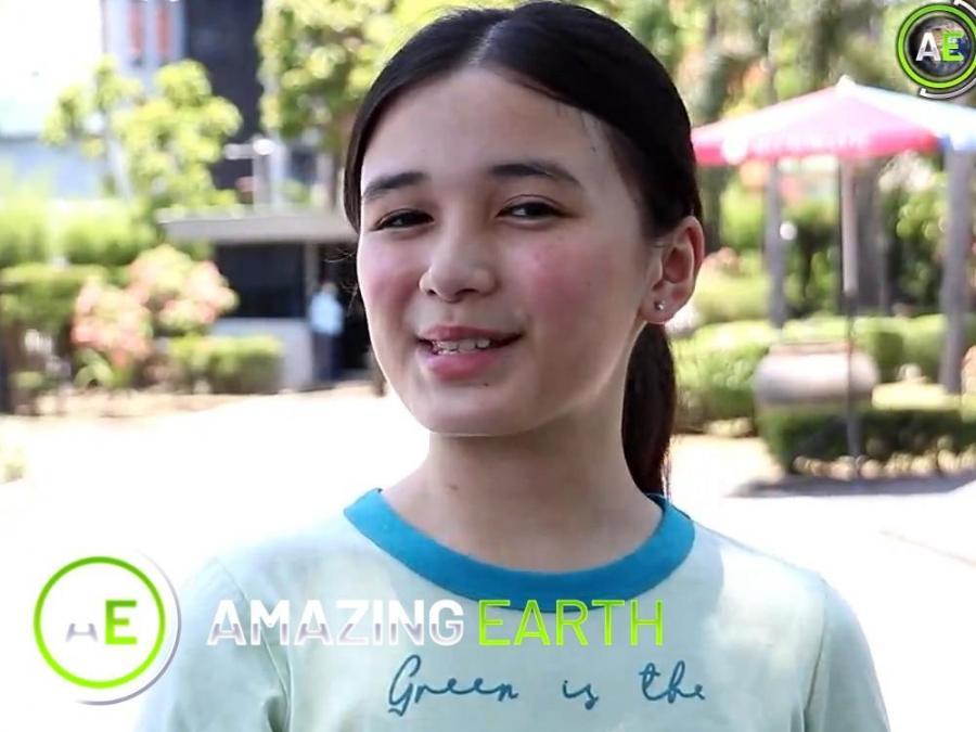 Amazing Earth: Discover the amazing sea creatures around the world! (Online Exclusive) | GMA ...