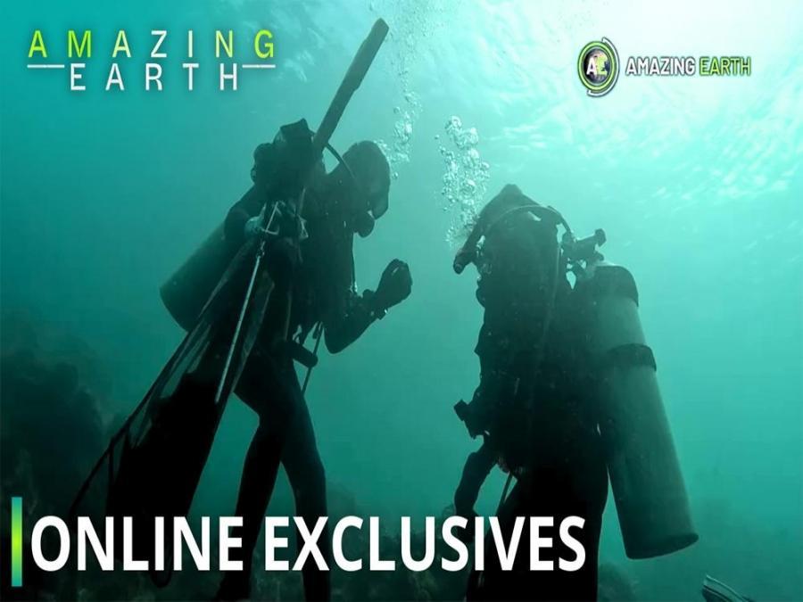 Amazing Earth: Sandy Riccio and her underwater cleanup experience ...