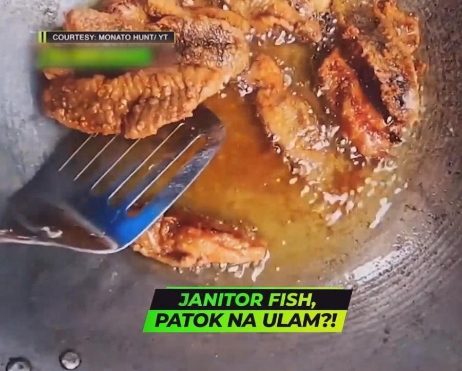 Amazing Earth: Janitor fish, ginagawang ulam? (Episode 273) | GMA ...