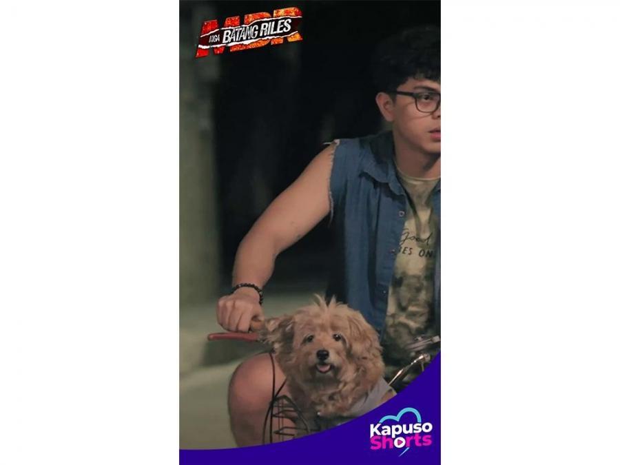 Galit ang aso sa masasamang tao #shorts | Mga Batang Riles | GMA ...