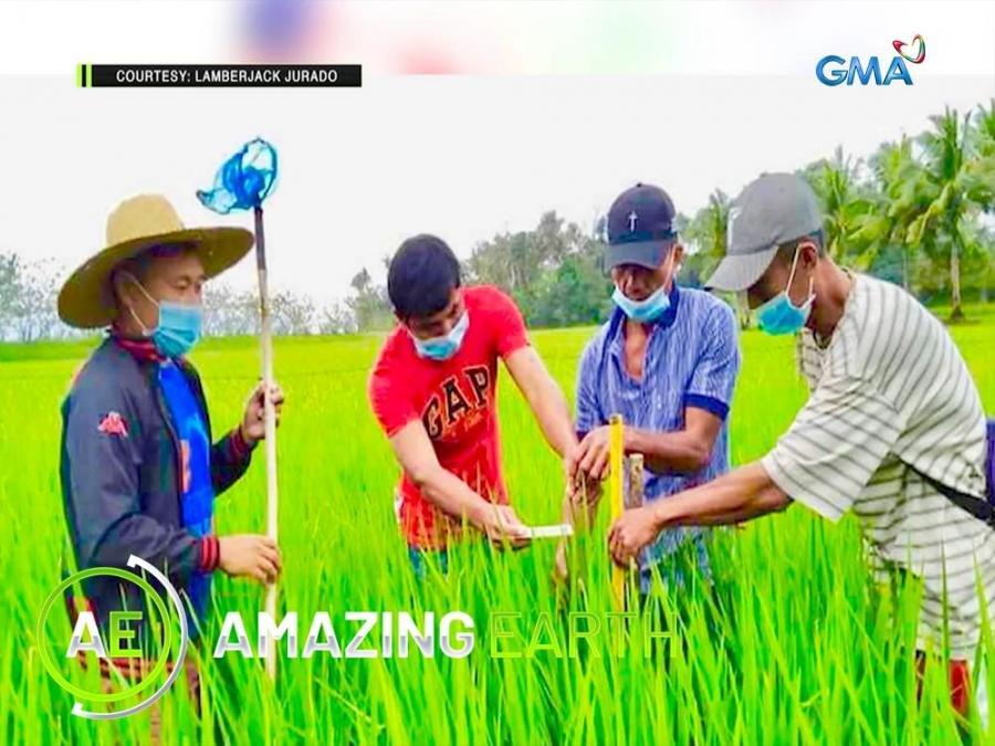 Amazing Earth: From OFW worker to farm school owner! | GMA Entertainment