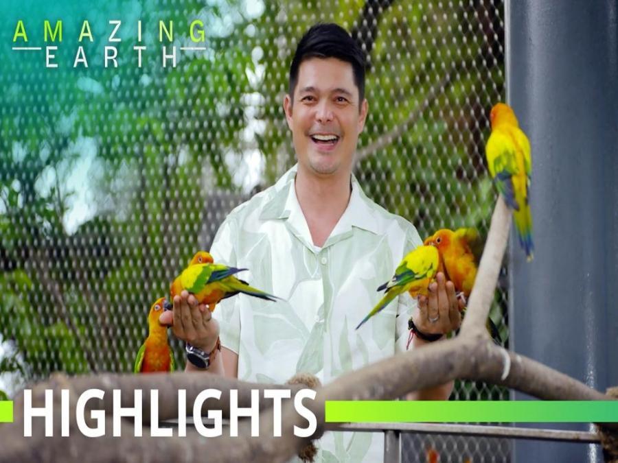 Amazing Earth: Reconnect with nature at Philippine Biodome in Manila ...