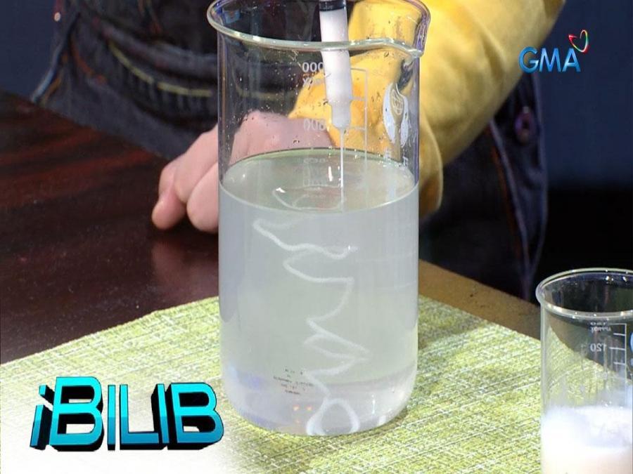 iBilib: Instant worms experiment | GMA Entertainment