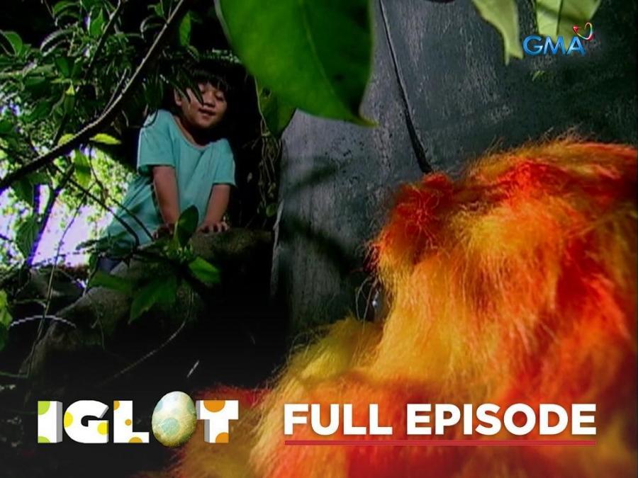 Iglot: Full Episode 7 (Stream Together) | GMA Entertainment