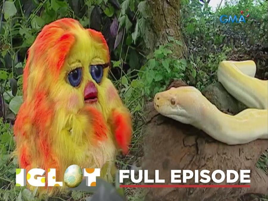 Iglot: Full Episode 9 (Stream Together) | GMA Entertainment