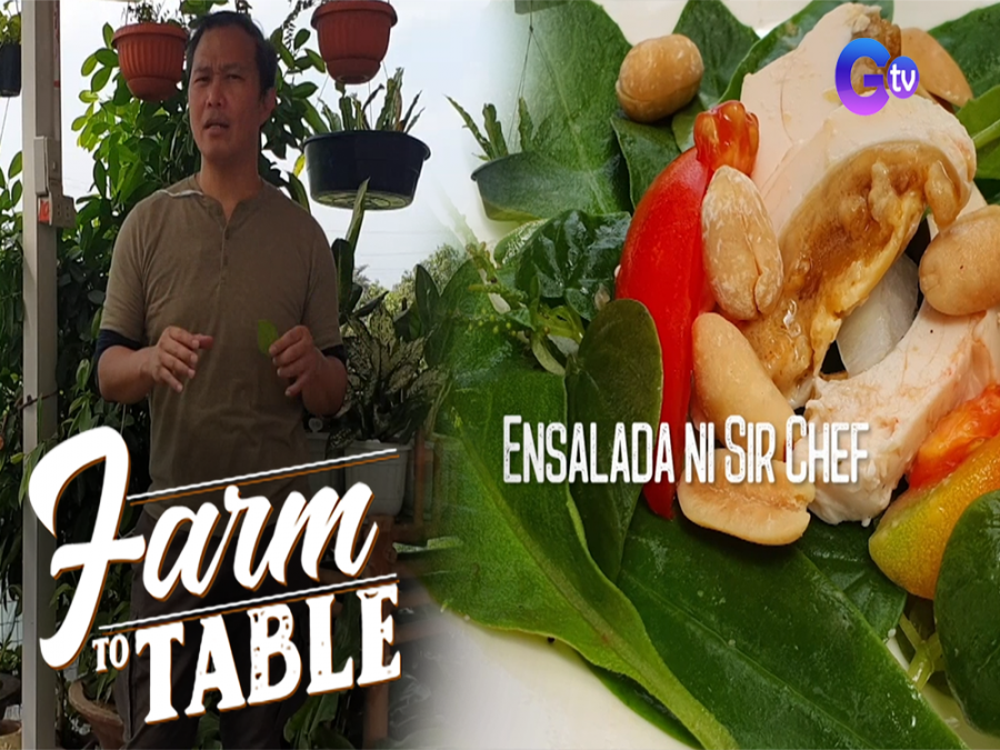 Farm To Table: Chef Mark Navarro transforms garden plants into a fresh ...