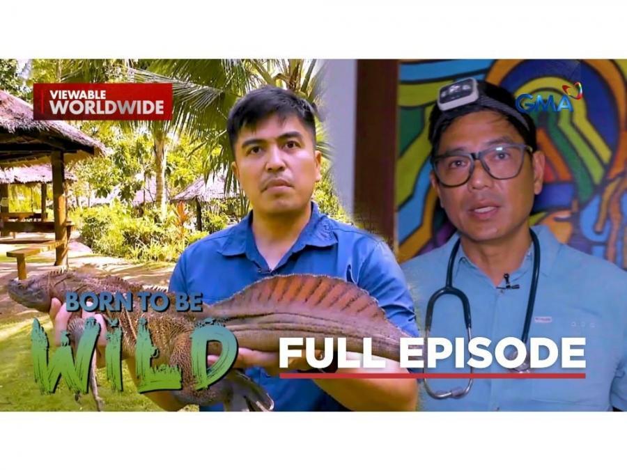 The Story of Wild Animals and Their Human Companion (Full Episode ...