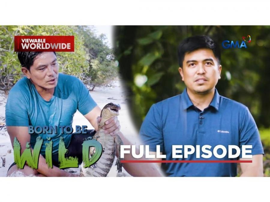 Territorial disputes between humans and wildlife (Full Episode) | Born ...