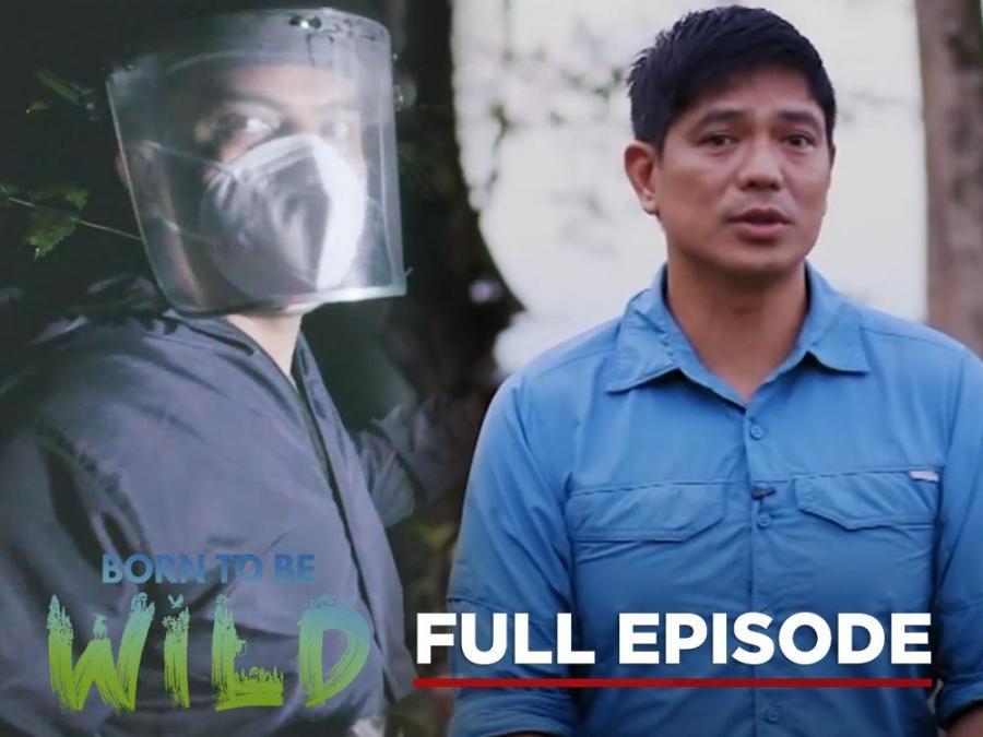 The Survival Story of Wildlife (Full Episode) | Born to be Wild | GMA ...
