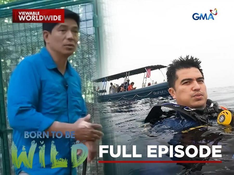 Saving Wildlife Habitats | Born to be Wild (Full Episode) | GMA ...