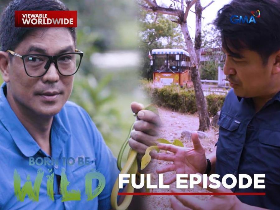 The Big Roles of Tiny Wildlife in Maintaining the Balance of Our ...