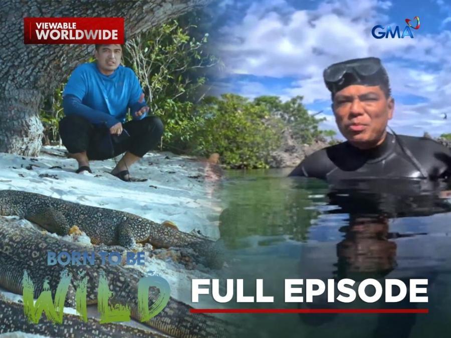 Harmonious coexistence of Wildlife and Humans (Full Episode) | Born to ...