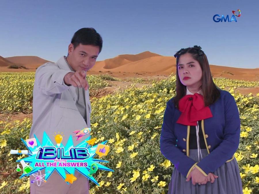 iBilib: Did you know that flowers can grow in the desert? | GMA ...
