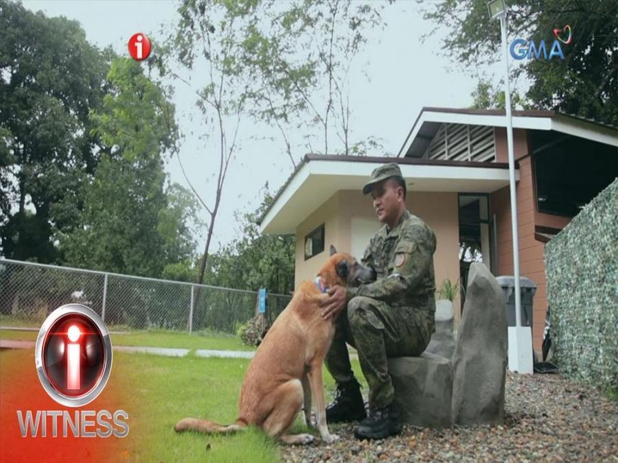 I-Witness: 'Sundalong Aso,' dokumentaryo ni Kara David (full episode ...