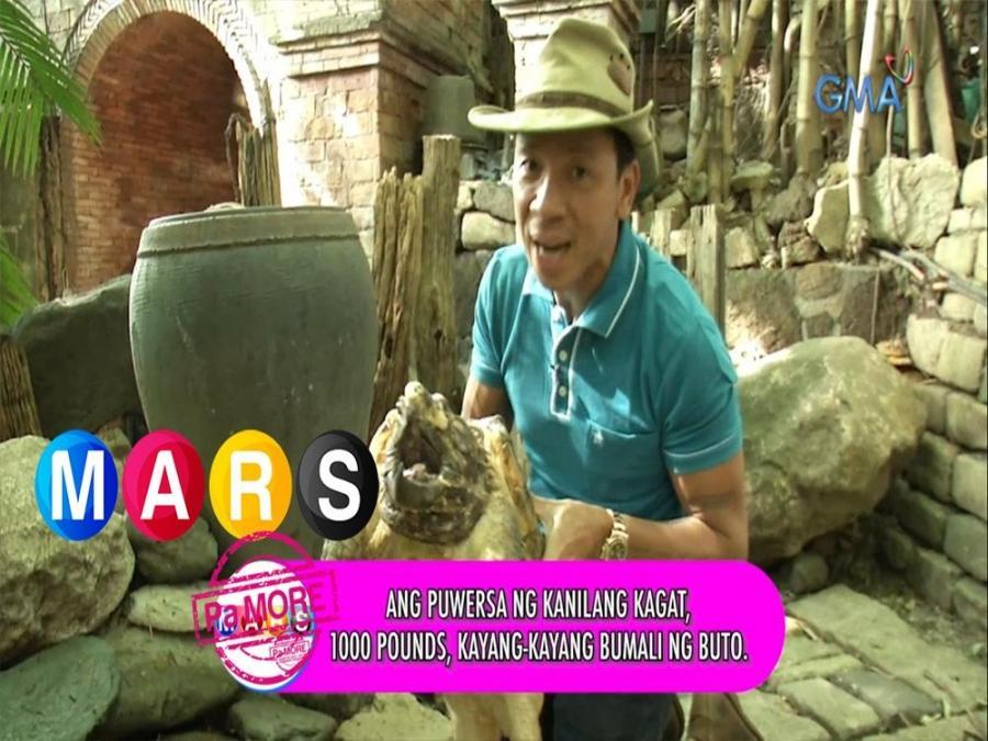 Mars Pa More: Kuya Kim's amazing trivia about turtles and tortoises ...