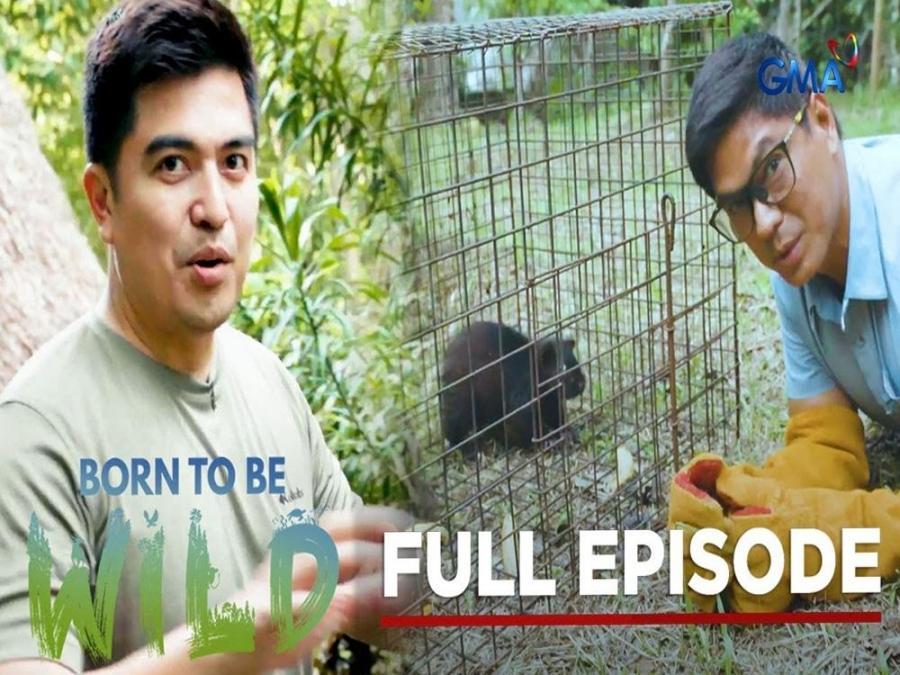 The Wild Neighbors (Full Episode) | Born to be Wild | GMA Entertainment