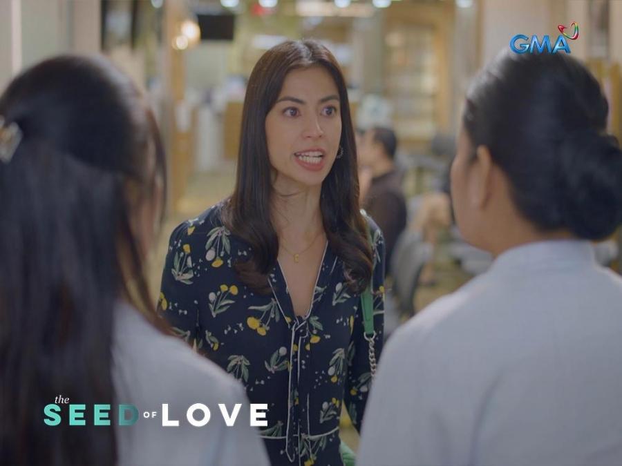 The Seed of Love: Accusing the loyal wife of infidelity (Episode 33) | GMA Entertainment