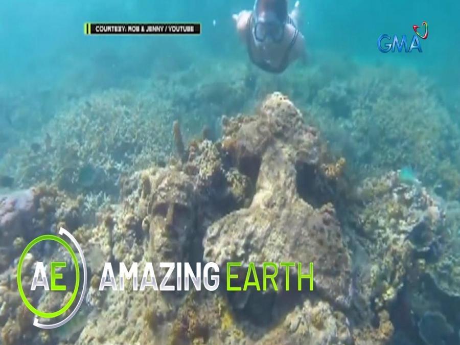Amazing Earth: Explore the underwater cemetery in Camiguin! | GMA ...