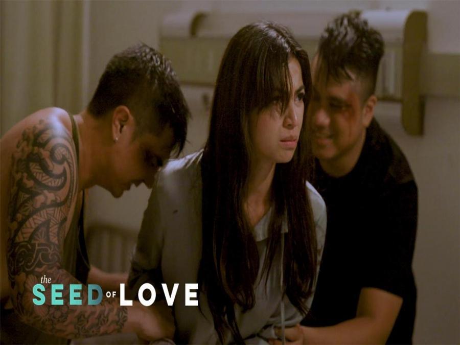 The Seed of Love: Alexa's evil scheme for Eileen (Episode 78) | GMA Entertainment