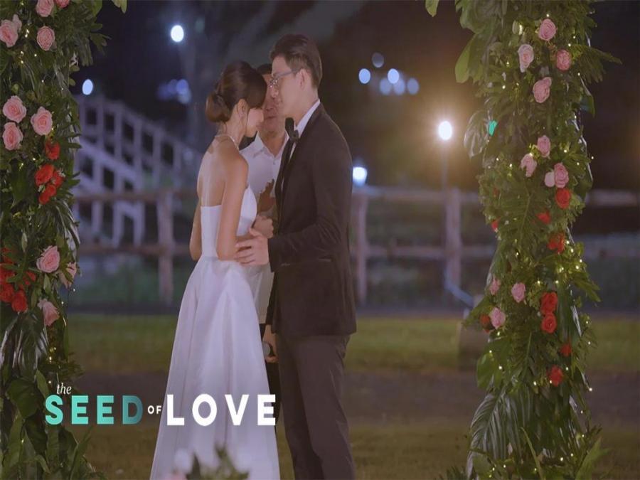 The Seed of Love: A new beginning for Eileen and Bobby (Finale Episode ...
