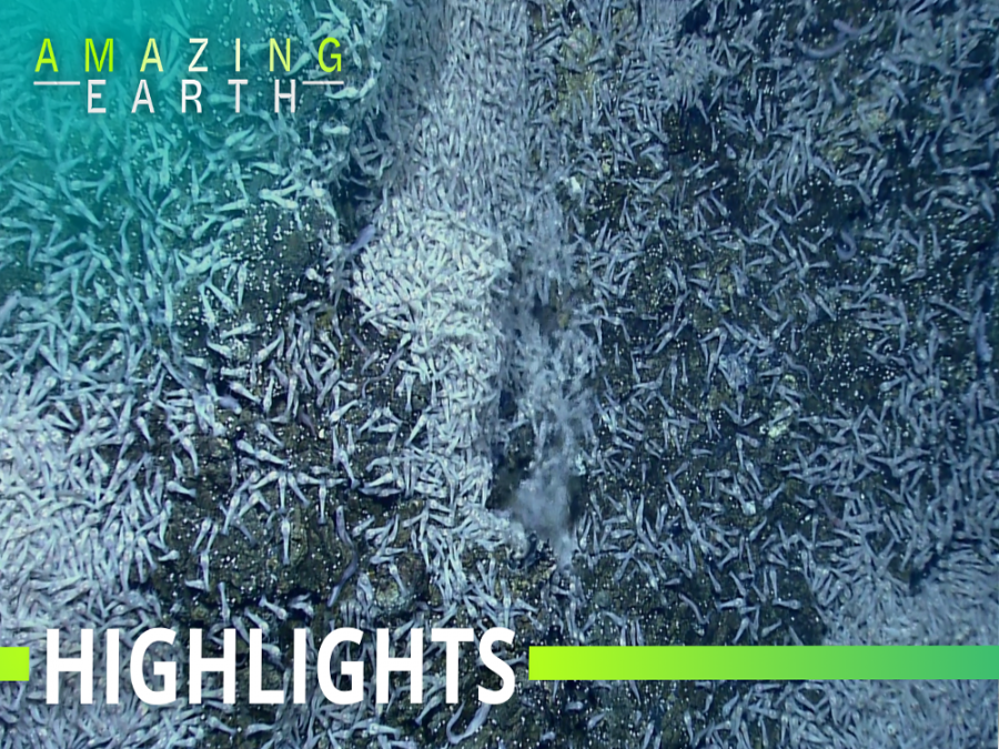 Amazing Earth: Vent worms' life in the deepest ocean! | GMA Entertainment