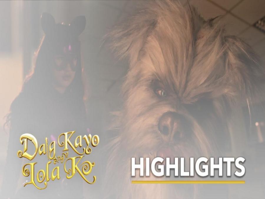 Daig Kayo Ng Lola Ko: Captain Kitten versus the evil pet doctor! | GMA Entertainment