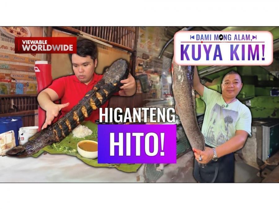Higanteng hito, mas malaki pa sa hita ng tao!? | Dami Mong Alam, Kuya Kim! | GMA Entertainment