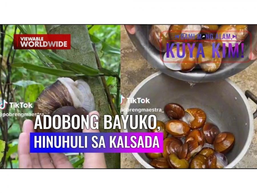 'Bayuko' na isang uri ng suso, ligtas nga bang lutuin at kainin? | Dami ...