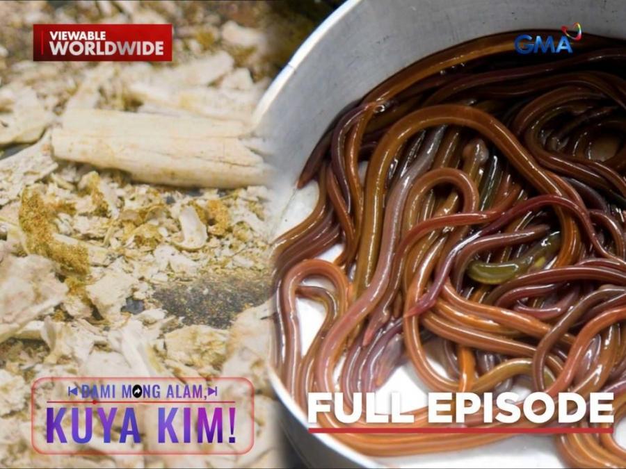 Uri ng isda, mukhang bulate?!; Totoo nga ba ang green bones? | Dami ...