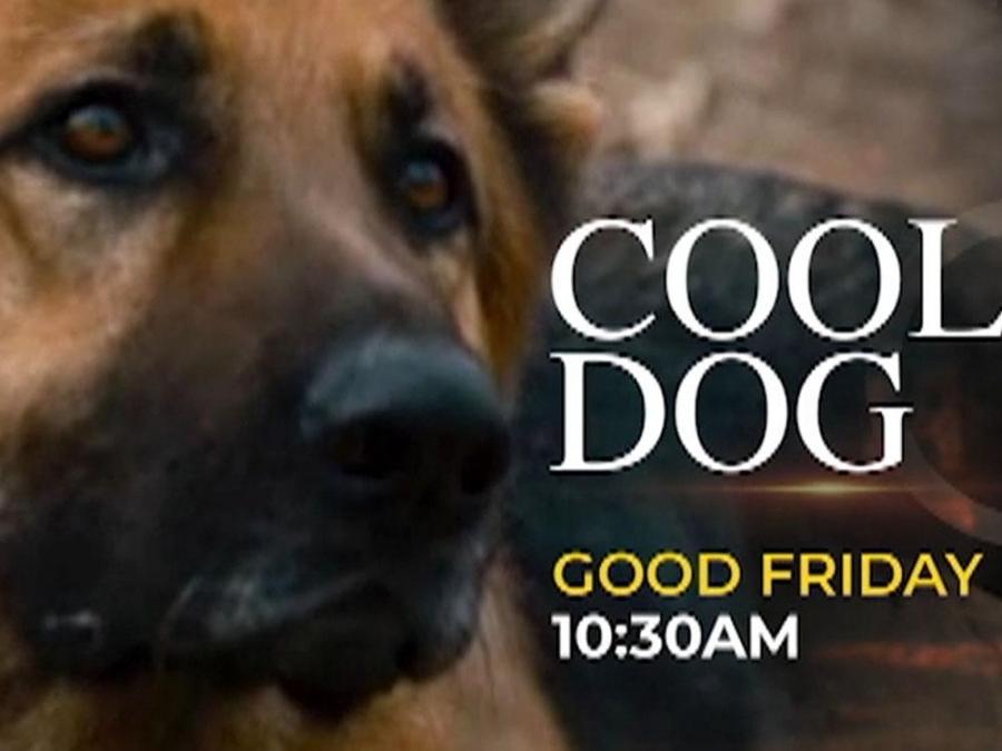 Holy Week 2022: Cool Dog | Teaser | GMA Entertainment
