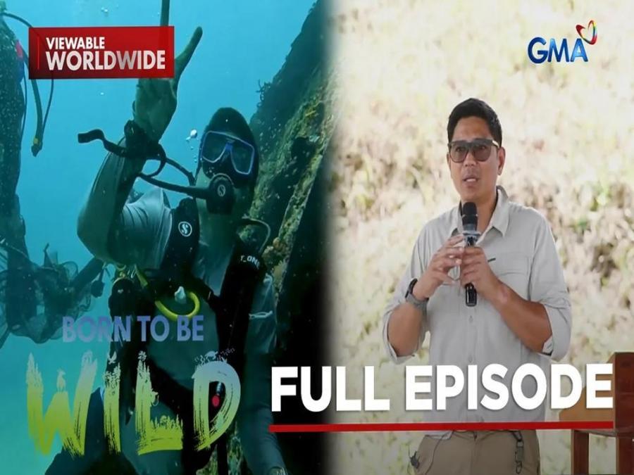 Returning rescued animals back to their natural homes (Full Episode ...