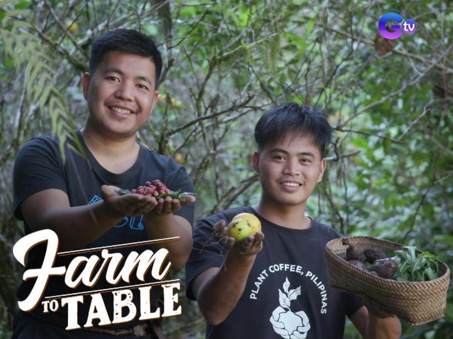 Barlig Rainforest Farm, a different take on farms and farmland! | Farm ...