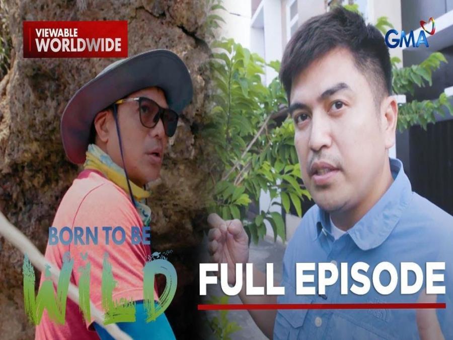 The role of humans in the life cycles of different organisms (Full Episode) | Born to be Wild ...