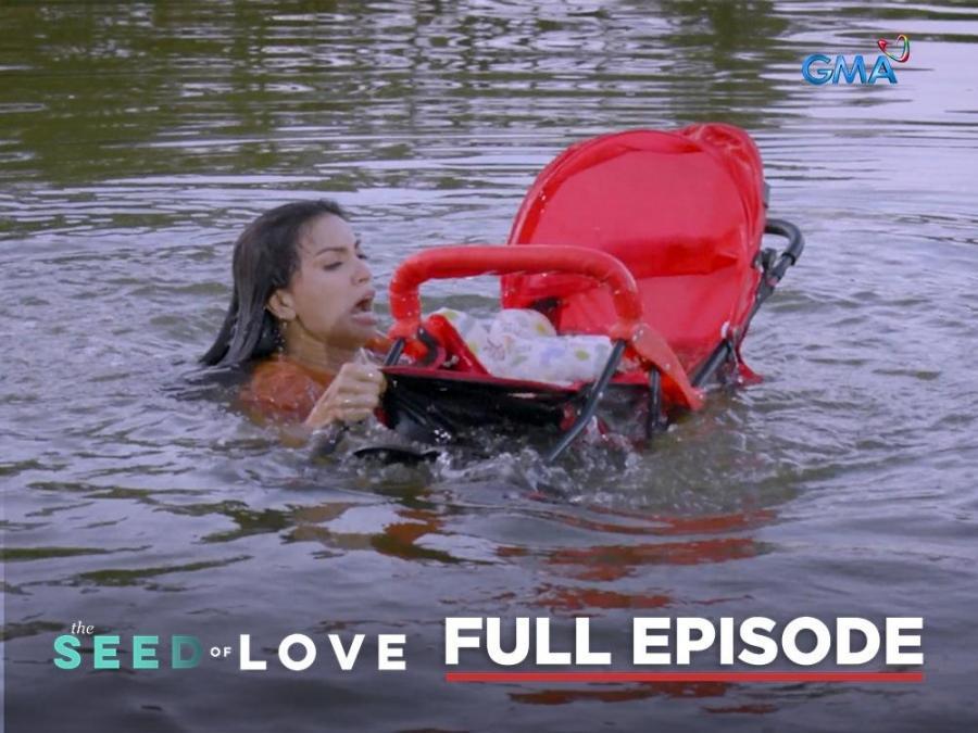 The Seed of Love: Full Episode 41 (July 3, 2023) - The Seed Of Love - Home - Full Episodes