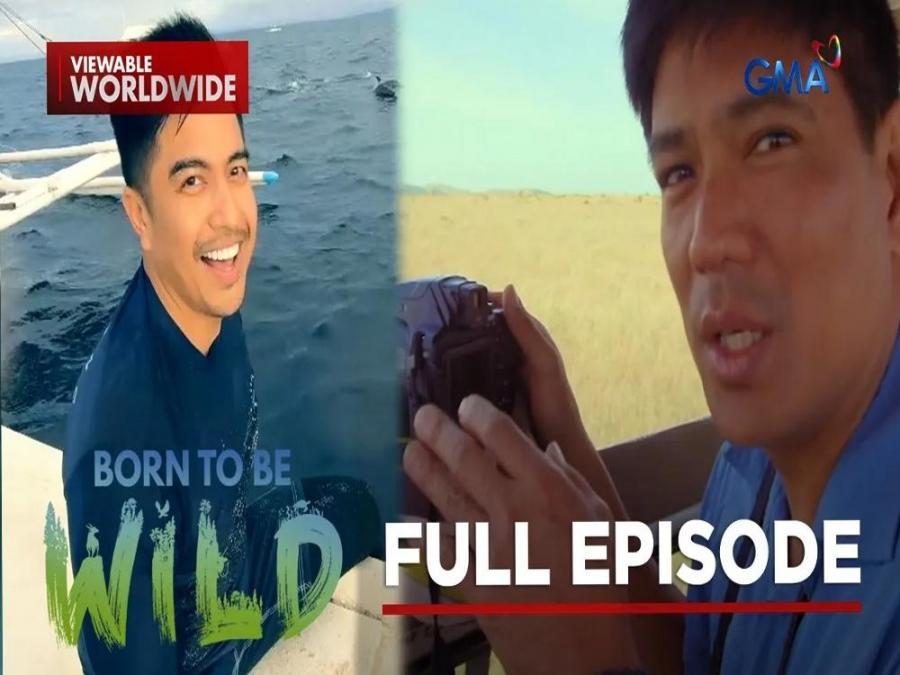 The Olympians of the Wild (Full Episode) | Born to be Wild | GMA ...