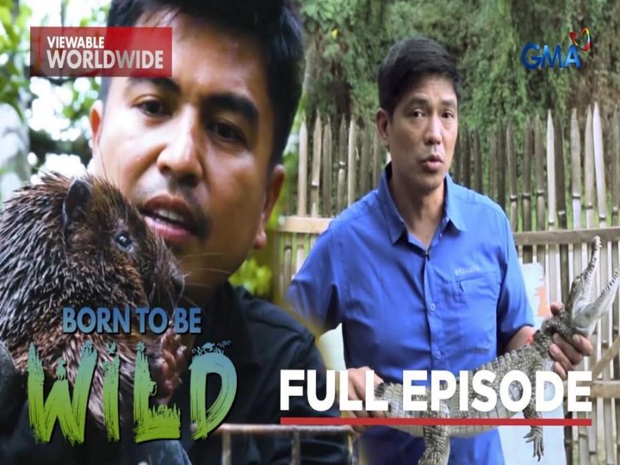 Endangered Wild Animals in Captivity (Full Episode) | Born to be Wild ...