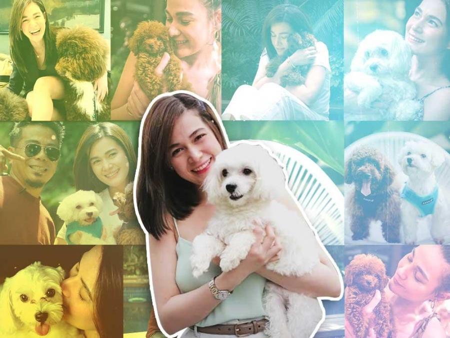 Pinoy Dog Whisperer trains Bea Alonzo's fur babies | Kapuso Watch | GMA ...