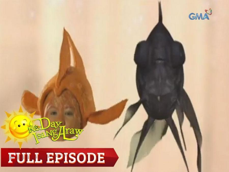 One Day Isang Araw: The lazy boy turns into a fish! | Full Episode ...