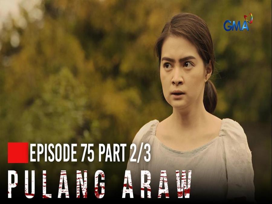 Pulang Araw: Adelina, muling sumalang sa peligrosong misyon (Episode 75 - Part 2/3) | GMA ...