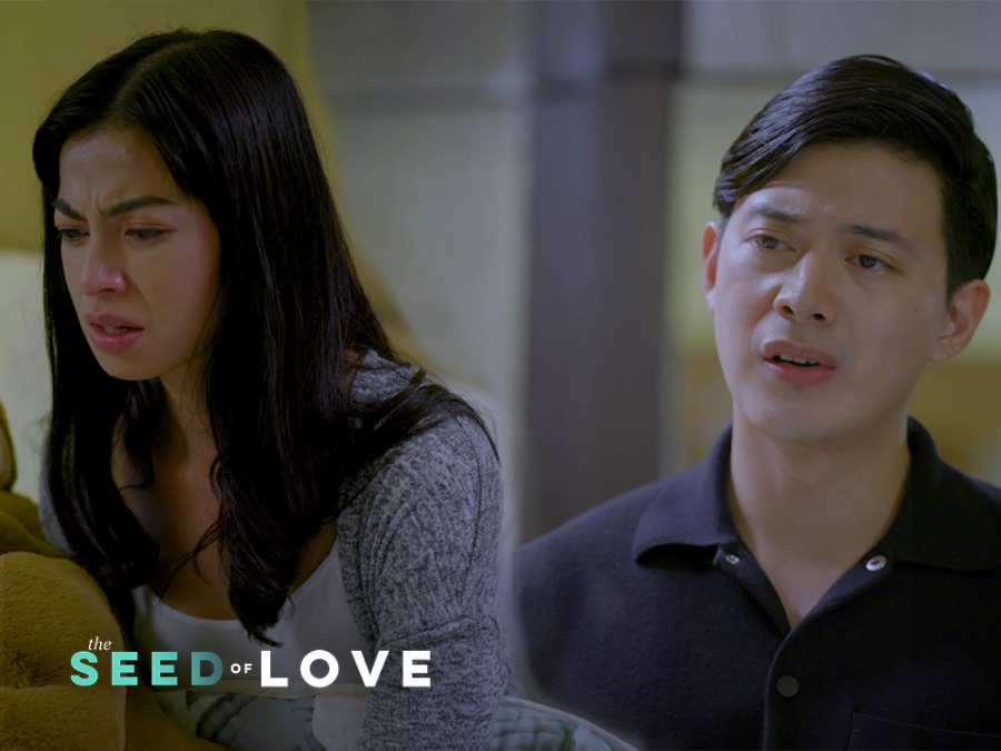 The Seed of Love: The wicked mistress' evil plans prevail! (Episode 44) | GMA Entertainment