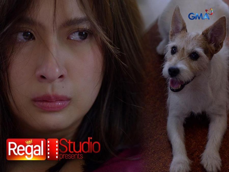 Regal Studio Presents: Fur-mom na na-TOTGA, ipapaampon na ang alaga! (Talking Ted) | GMA ...