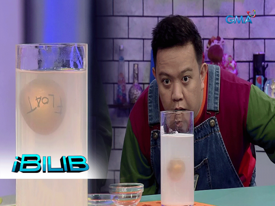 iBilib: Meet the golden obedient eggs! | GMA Entertainment