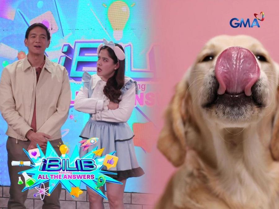 iBilib: How do you train a dog using food? | GMA Entertainment