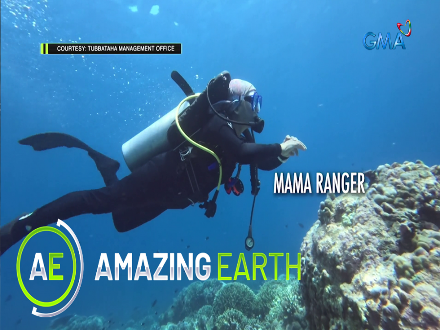 Amazing Earth: Meet the Tubbataha Marine Park Rangers of Palawan! | GMA ...