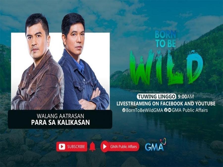 Born to be Wild (July 9, 2023) | LIVESTREAM | GMA Entertainment | GMA ...