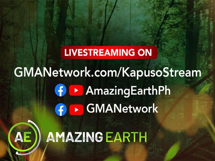 Amazing Earth, may LIVE STREAM na! | GMA Entertainment